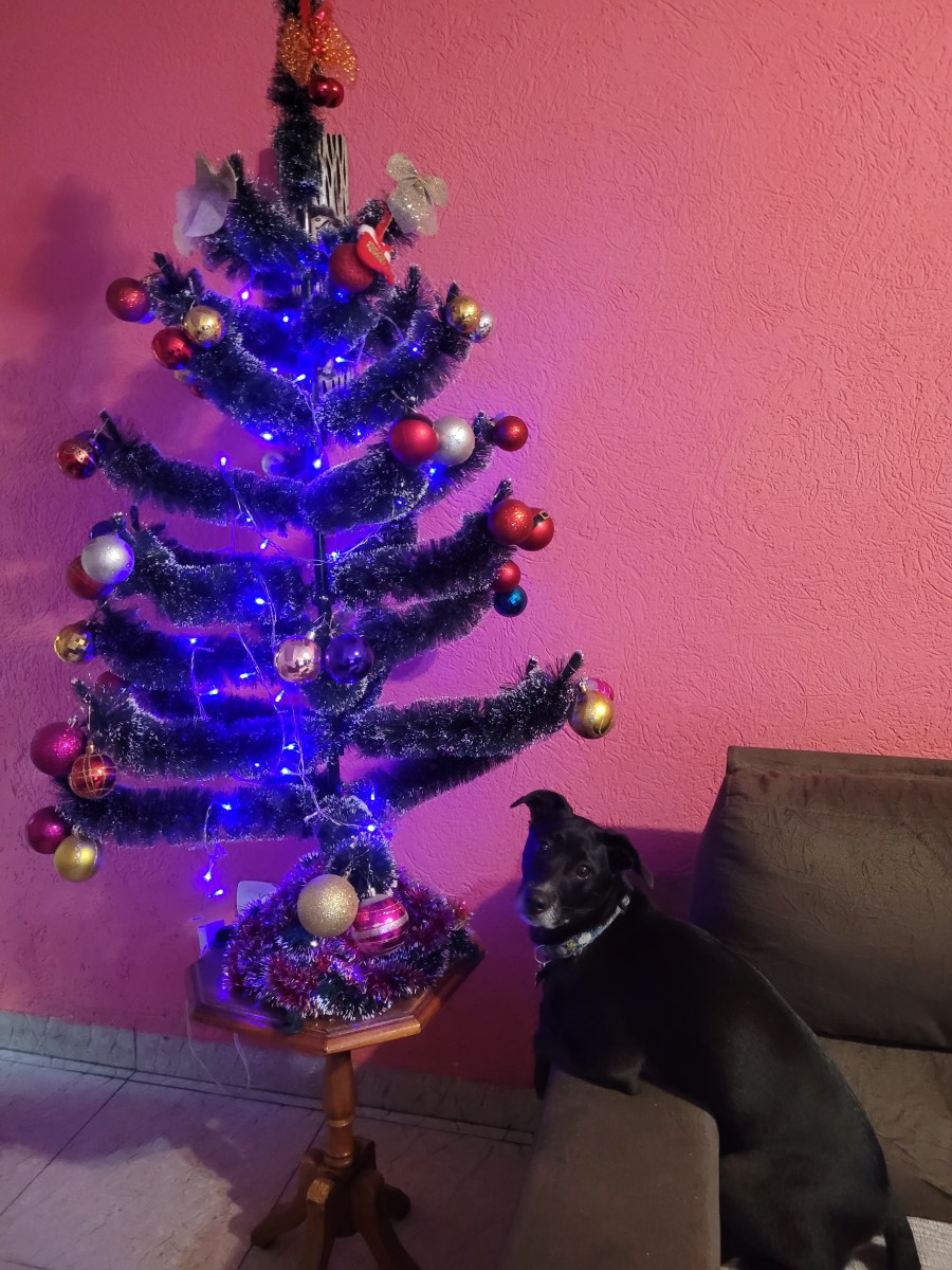 Diário de um Cão – Faísca e o Natal – Entre Dois Mundos